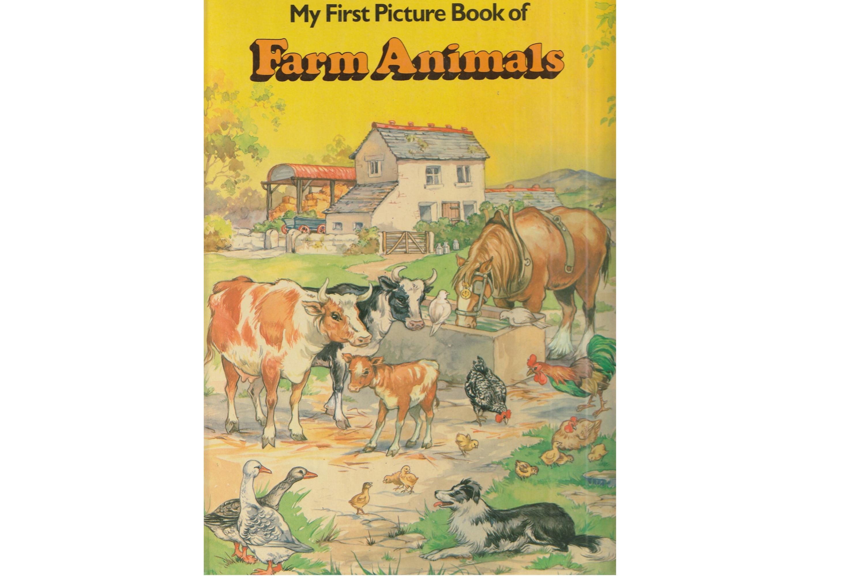 Vintage British Preschool Childrens Storybook My First Picture Book of ...