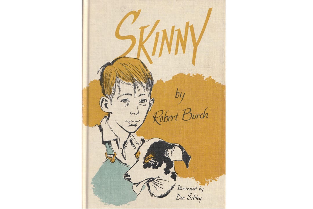 Vintage Childrens Book Skinny, Robert Burch, Midcentury American South ...
