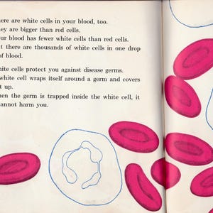 Vintage Lets Read and Find Out About Science Childrens Picture Book A ...