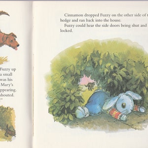 Vintage Childrens Picture Book Fuzzy Rabbit in the Park by Rosemary ...