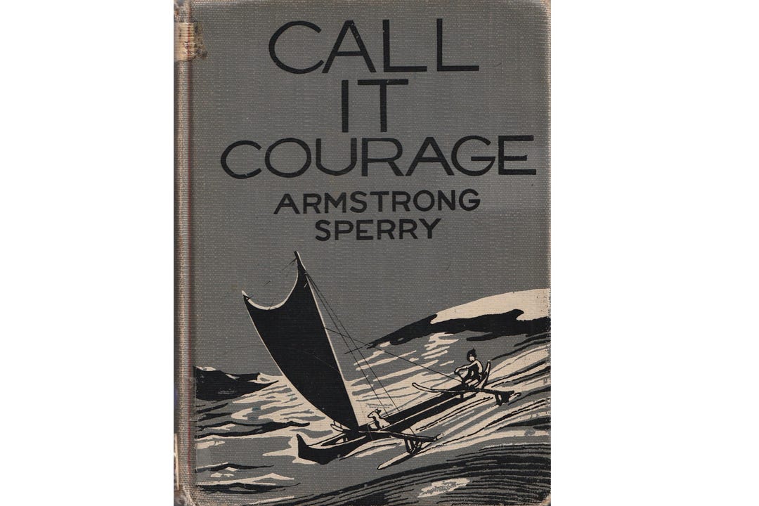 Vintage 1950s Childrens Book Call It Courage, Armstrong Sperry, Newbery ...