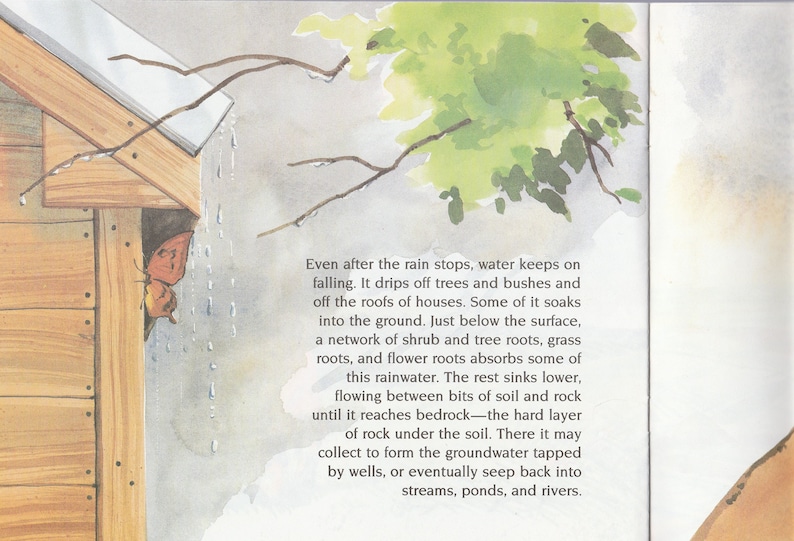 Vintage Childrens Nature Study Picture Book A Rainy Day, Homeschool ...