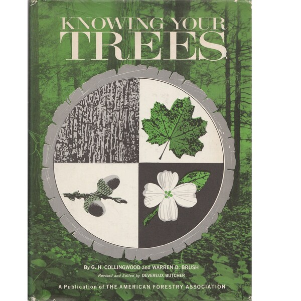 Tree Identification - Etsy