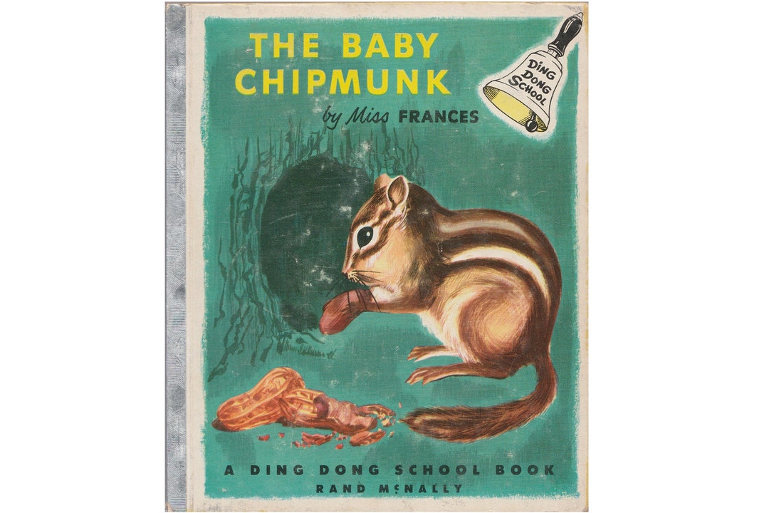 Vintage Ding Dong School Childrens Picture Book the Baby Chipmunk by ...