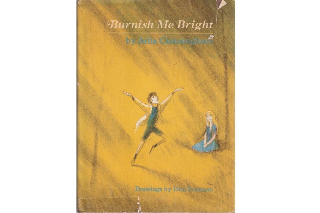 Vintage Childrens Book Burnish Me Bright, Julia Cunningham, French Mime ...