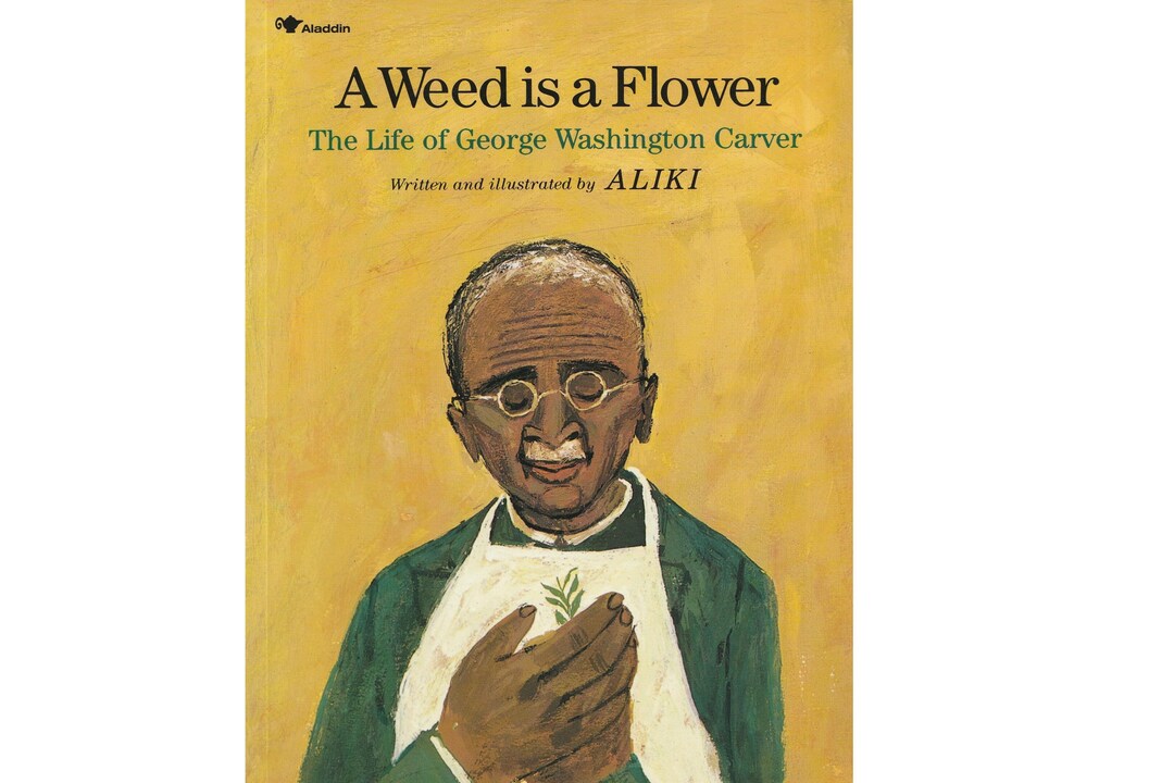 Vintage George Washington Carver Childrens Biography Picture Book A ...