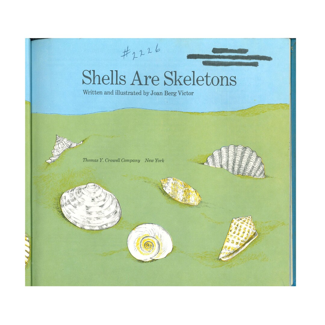 Vintage Childrens Ocean Animal Marine Biology Seashell Mollusk Facts ...