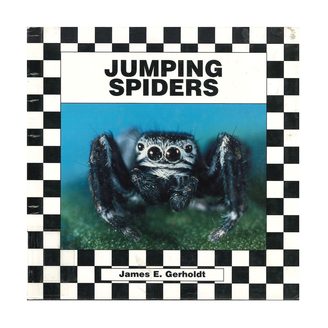 Vintage Childrens Nature Study Arachnid Biology Facts Nonfiction ...