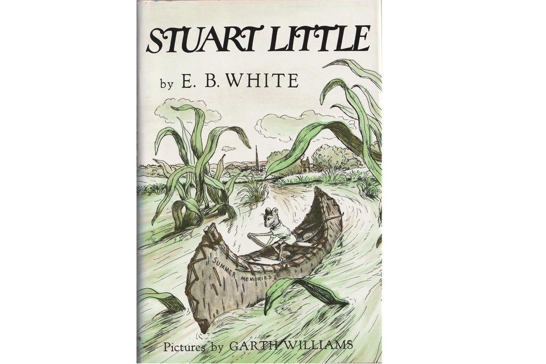 Vintage Childrens Book Stuart Little by E B White, Classic Childrens ...