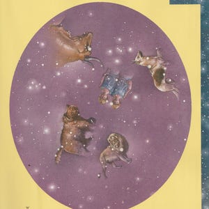 Vintage Nonfiction Childrens Constellation Picture Book the Glow in the ...