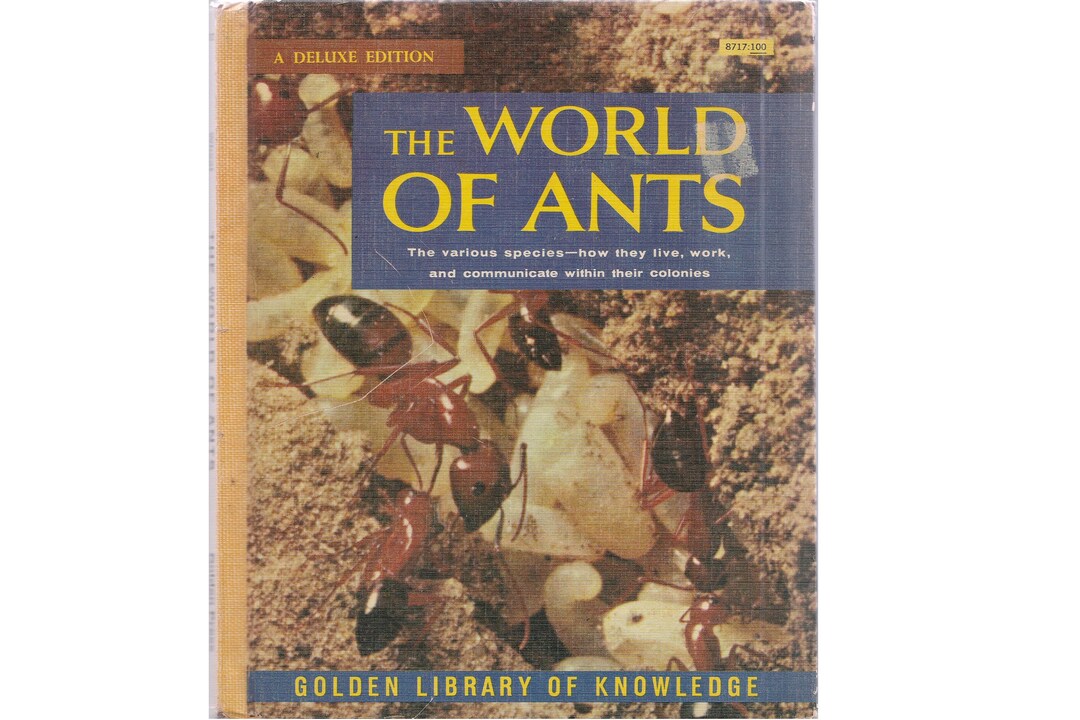 Vintage Childrens Insects Book the World of Ants, Golden Library of ...