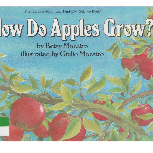 Lets Read and Find - Etsy