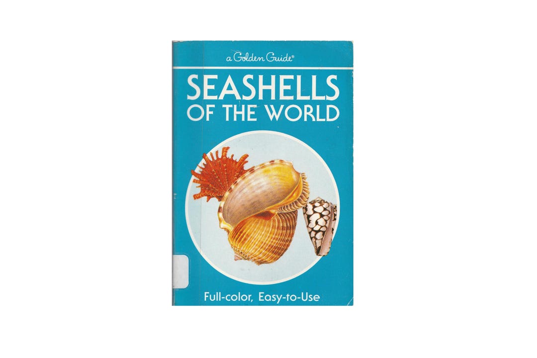 Vintage Golden Guide Seashell Identification Guidebook Seashells of the ...
