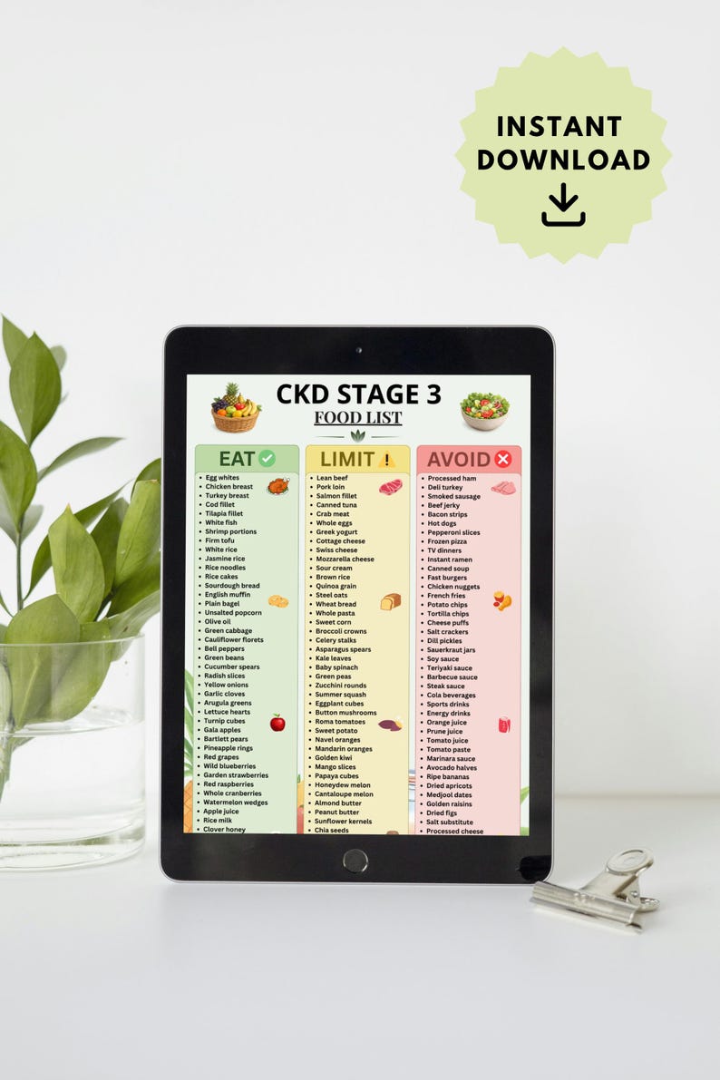 CKD Stage 3 Food List Printable, CKD Diet Chart PDF, Stage 3 Chronic ...