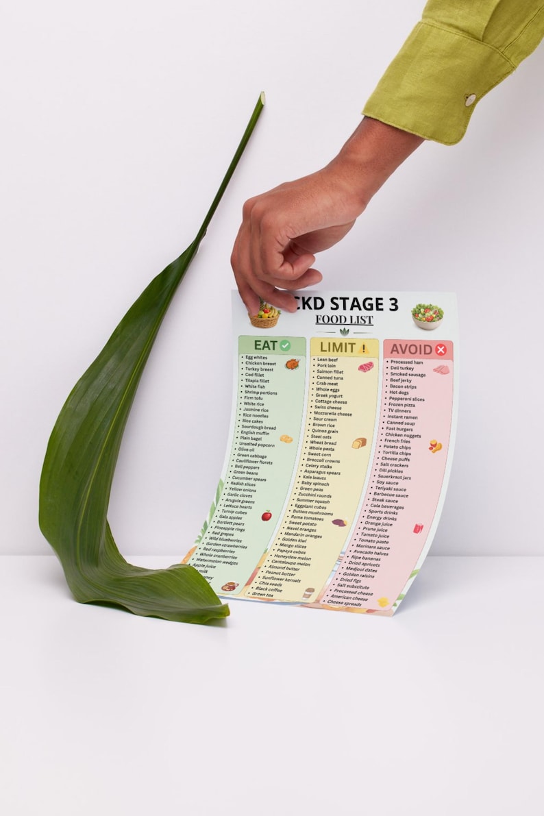CKD Stage 3 Food List Printable, CKD Diet Chart PDF, Stage 3 Chronic ...