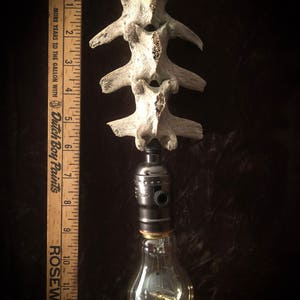 Hanging Spine Real Bone Lamp - Vintage Edison Style Light - One of a ...