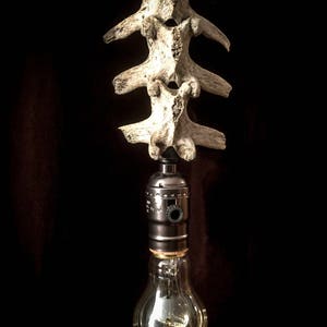 Hanging Spine Real Bone Lamp - Vintage Edison Style Light - One of a ...