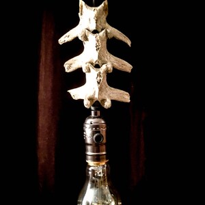 Hanging Spine Real Bone Lamp - Vintage Edison Style Light - One of a ...