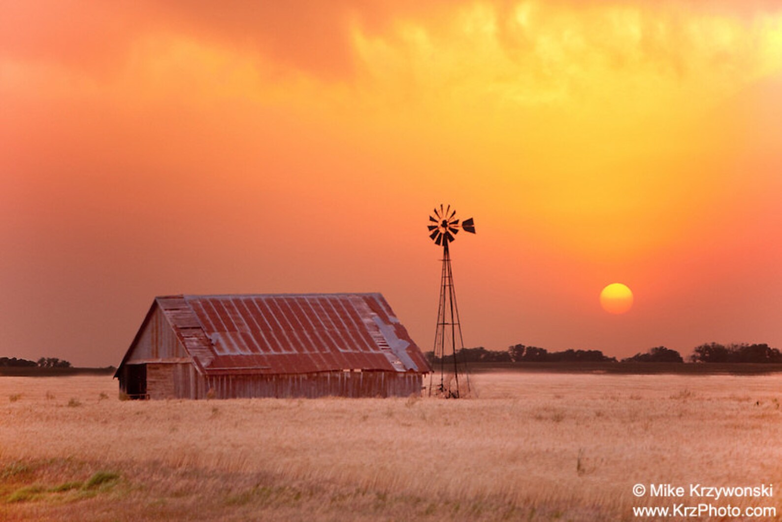 Old Barn & Windmill in Wheat Field W/ Golden Sunset in Alva, Oklahoma ...