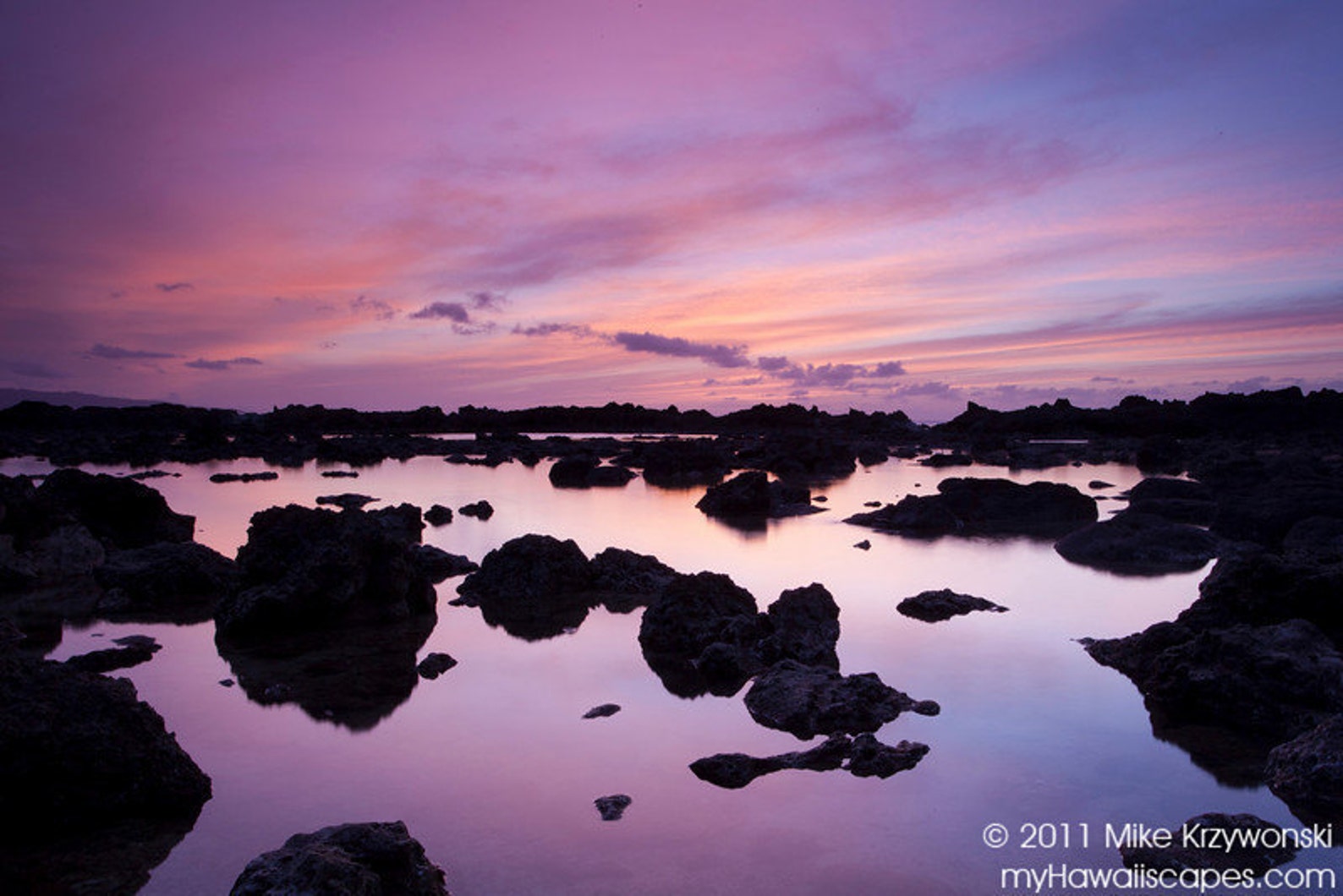 Pink & Purple Sunset W/ Reflection on Water W/ Rocks at Shark's Cove on ...