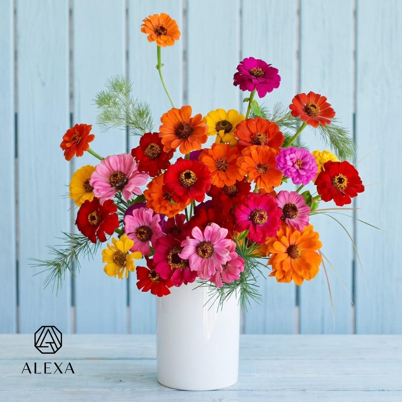 Mixed Color Zinnia Seeds - Zinnia Elegans, 30+ Seeds - Etsy New Zealand