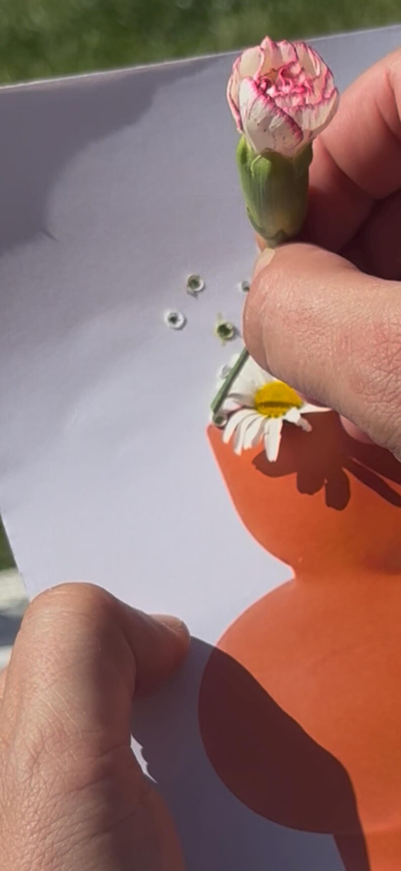 DIY Flower Arranging Card Kit | Real Flower Craft, Eco Friendly ...