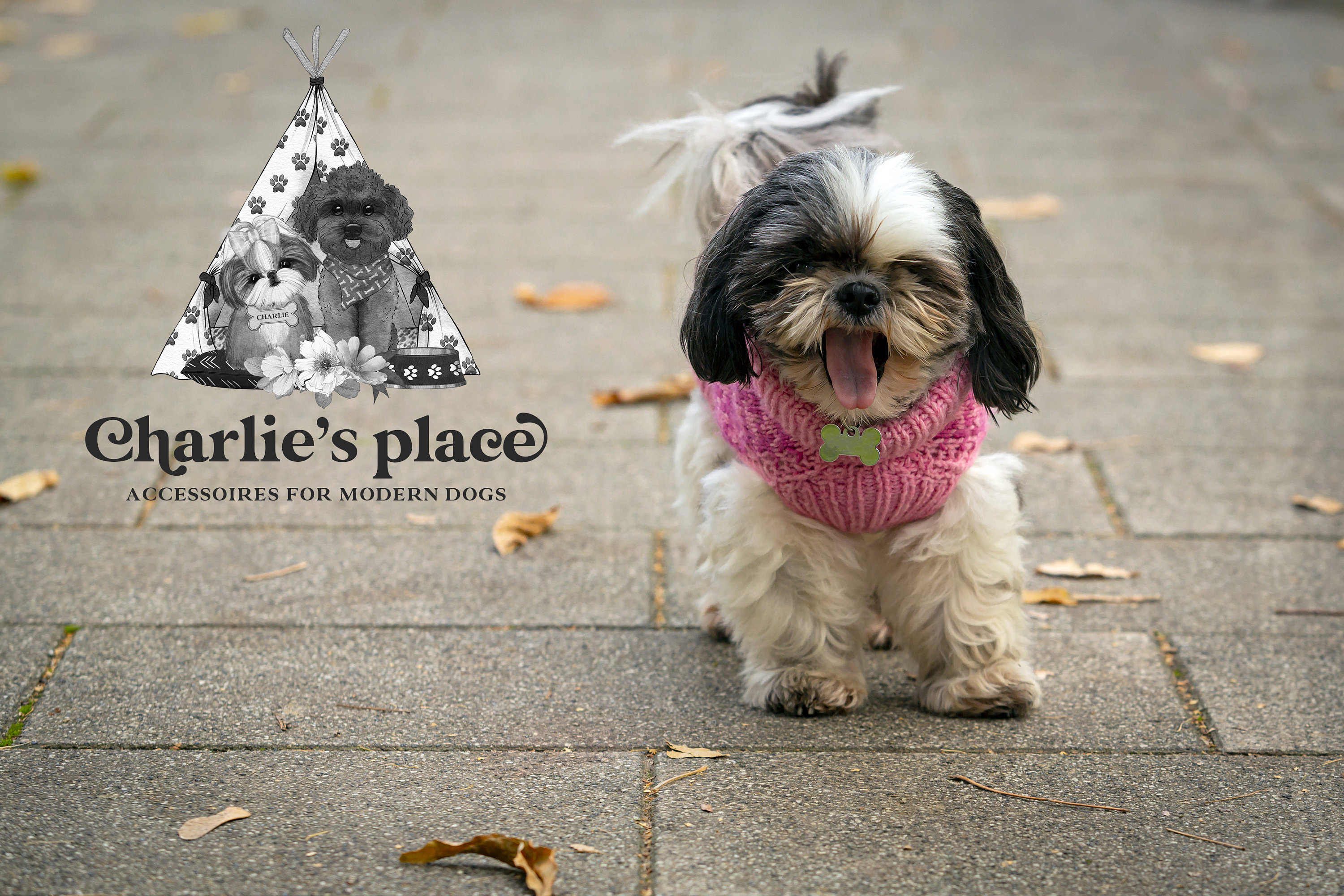 Dog Logo Pet Boutique Logo Boho Logo Animal Logo - Etsy UK