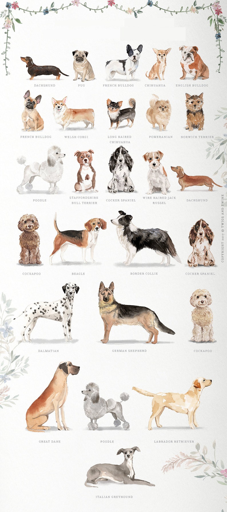 Branding Kit, Branding Package, Dog Logo and Watermarks, Watercolor Dog ...