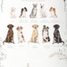 Branding Kit, Branding Package, Dog Logo and Watermarks, Watercolor Dog ...