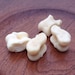 Viking Gambling Bones~ Deer Astragalus Talus Knuckle Bones ~ Divination ...