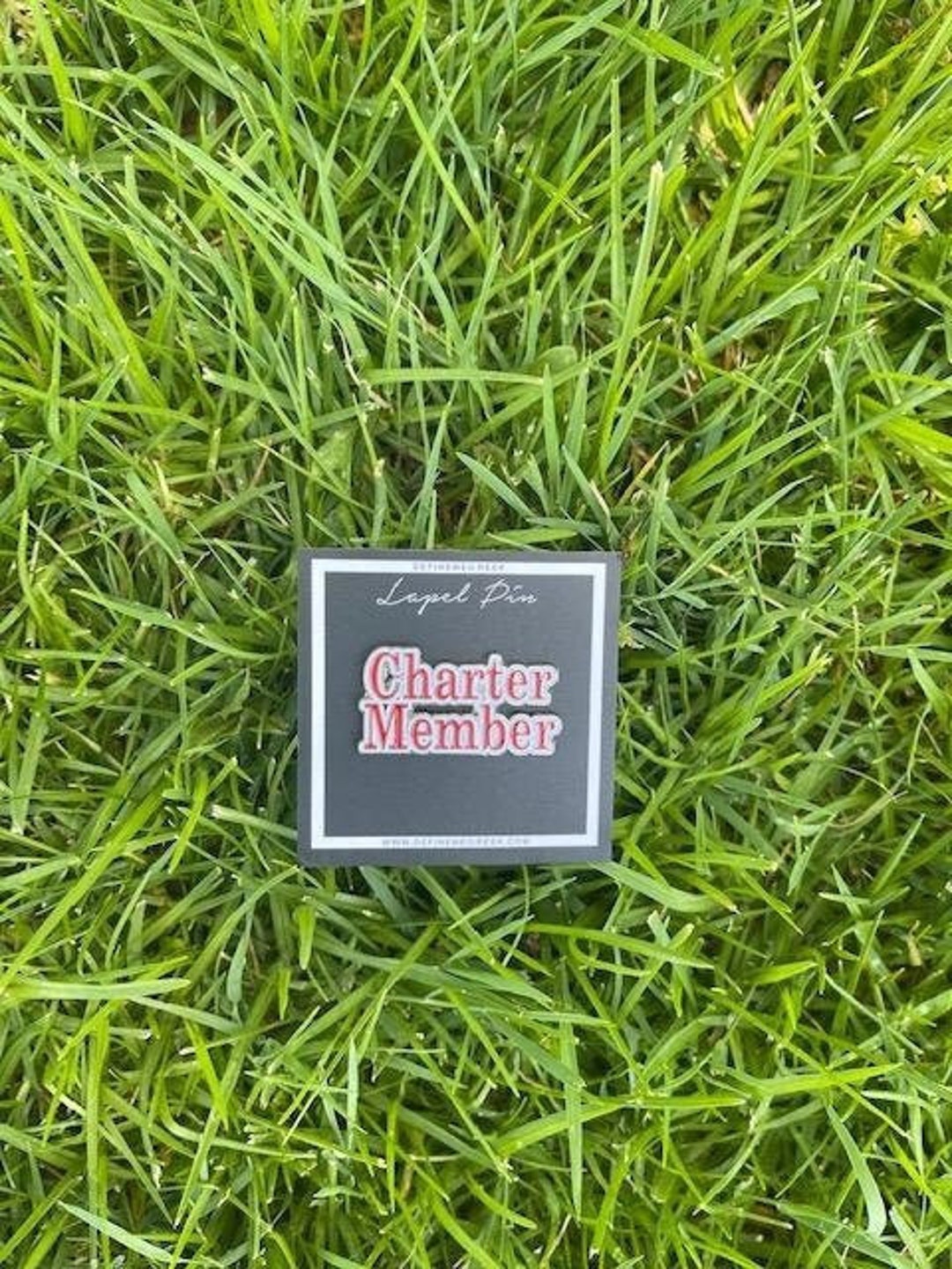 Charter Member Lapel Pin | Delta Sigma Theta DST - Etsy