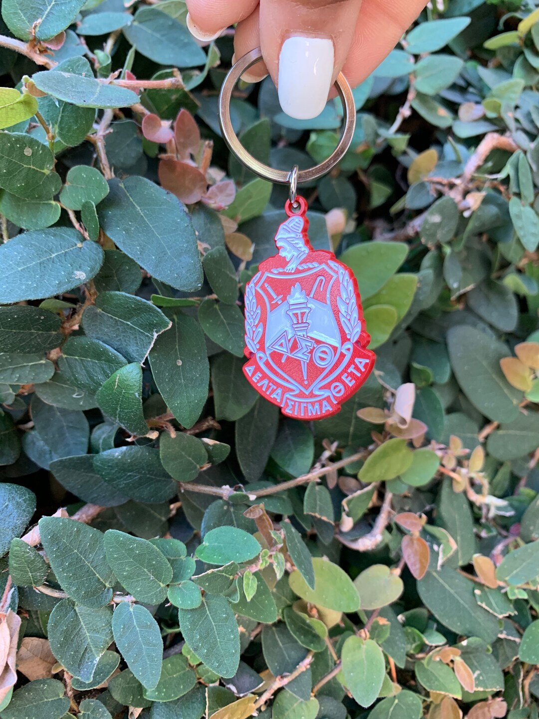 Delta Sigma Theta Shield - Key Chain | DST - Etsy