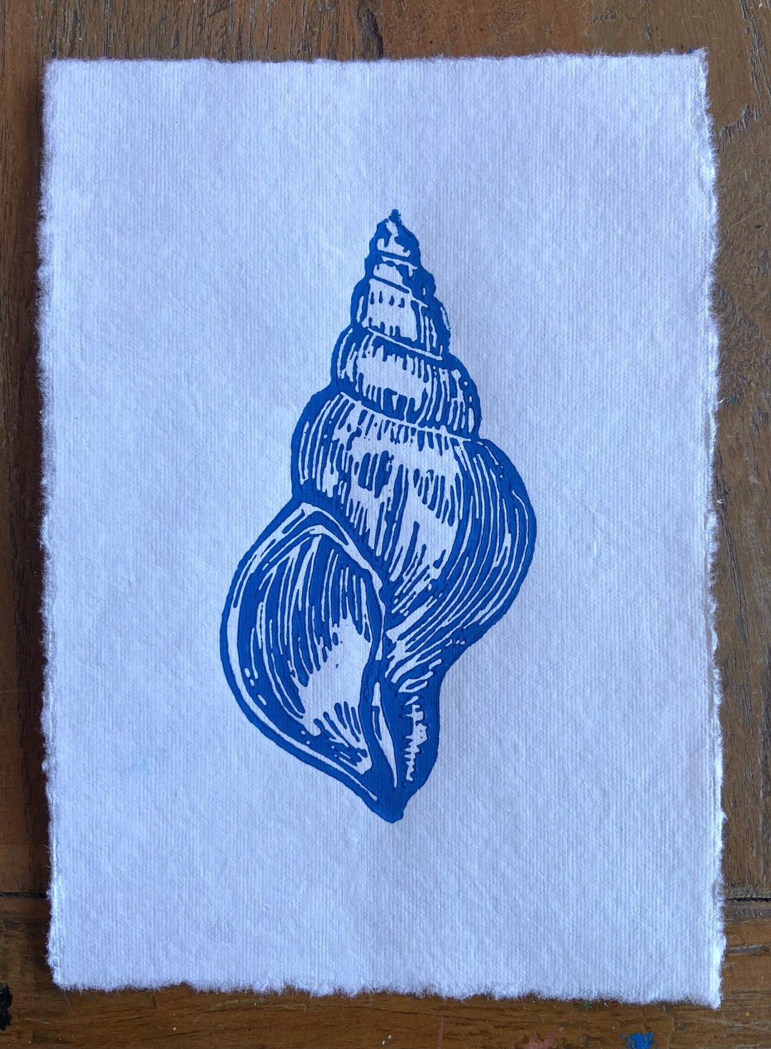 Original Blue Conch Seashell Linocut Art - Etsy