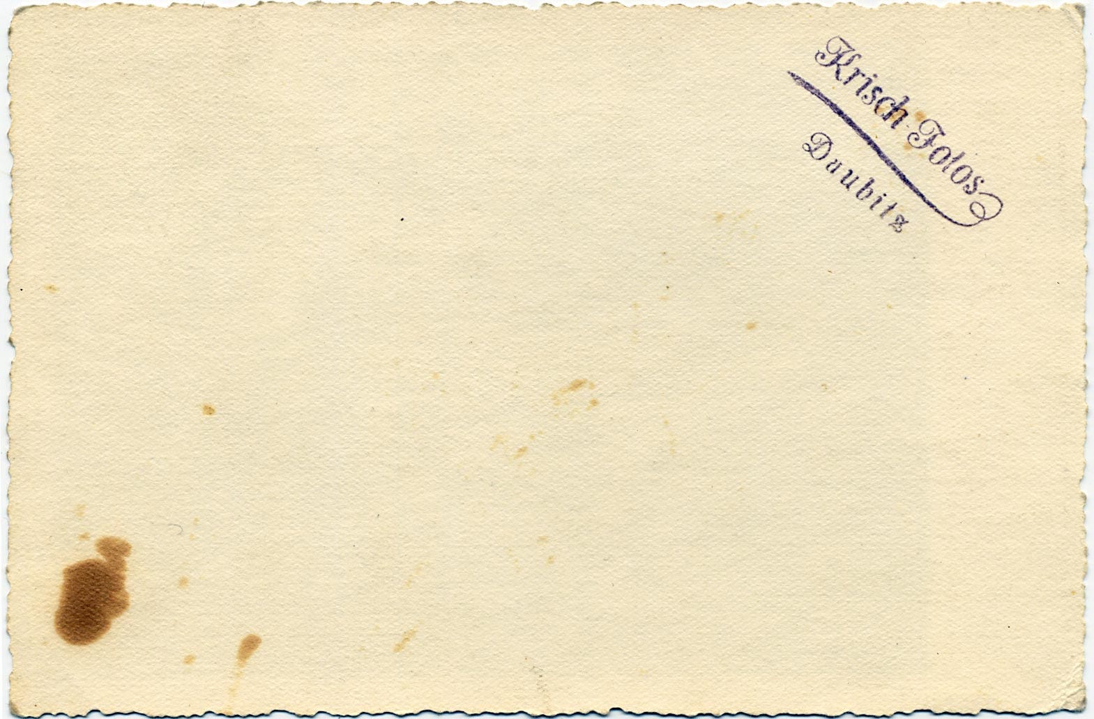 1950s Family Photo, German Family Collector Photo - Etsy