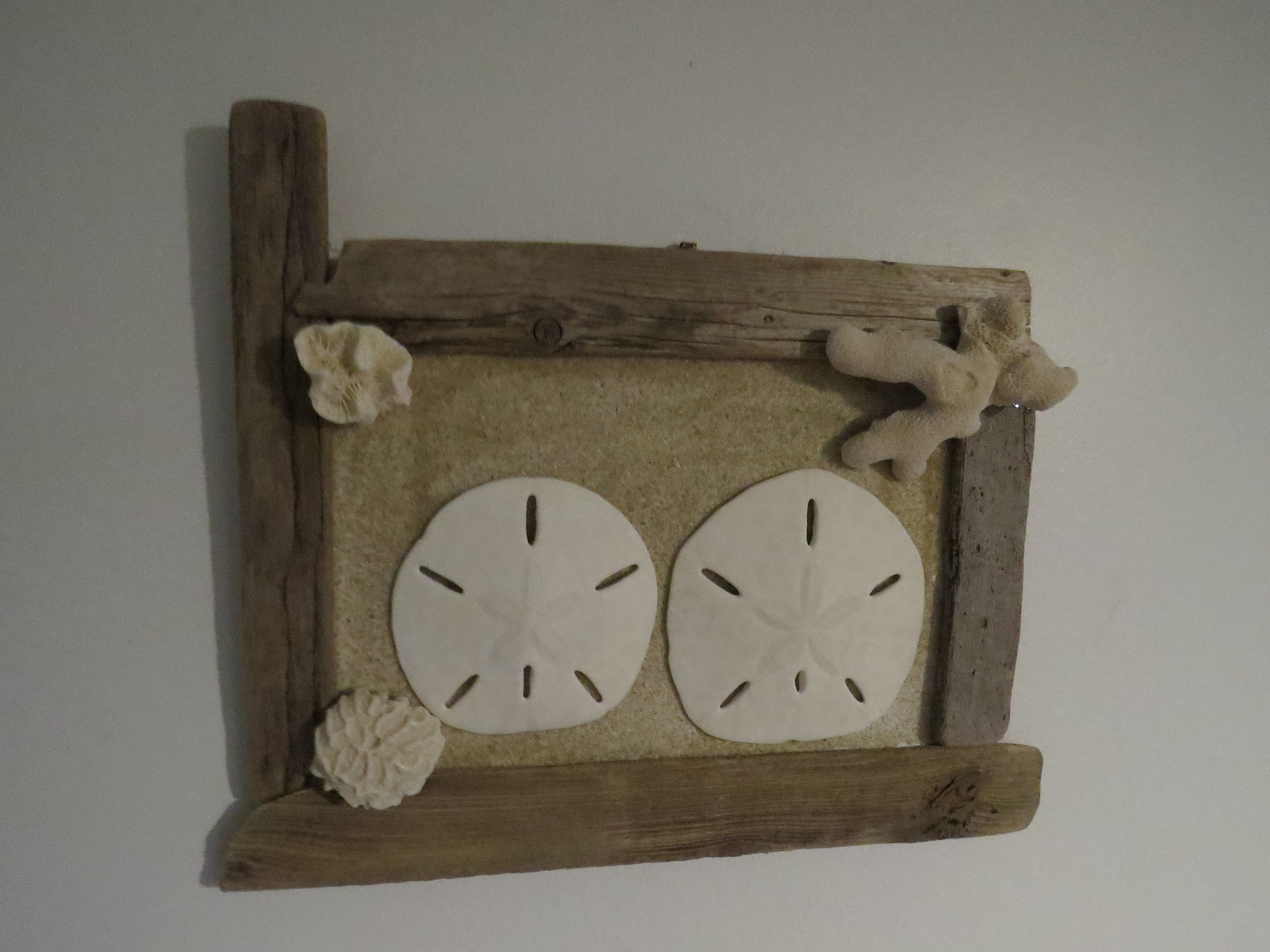 Cape Cod Driftwood With Bahamian Sand Dollars... Wall Art 9.5x11 ALL ...