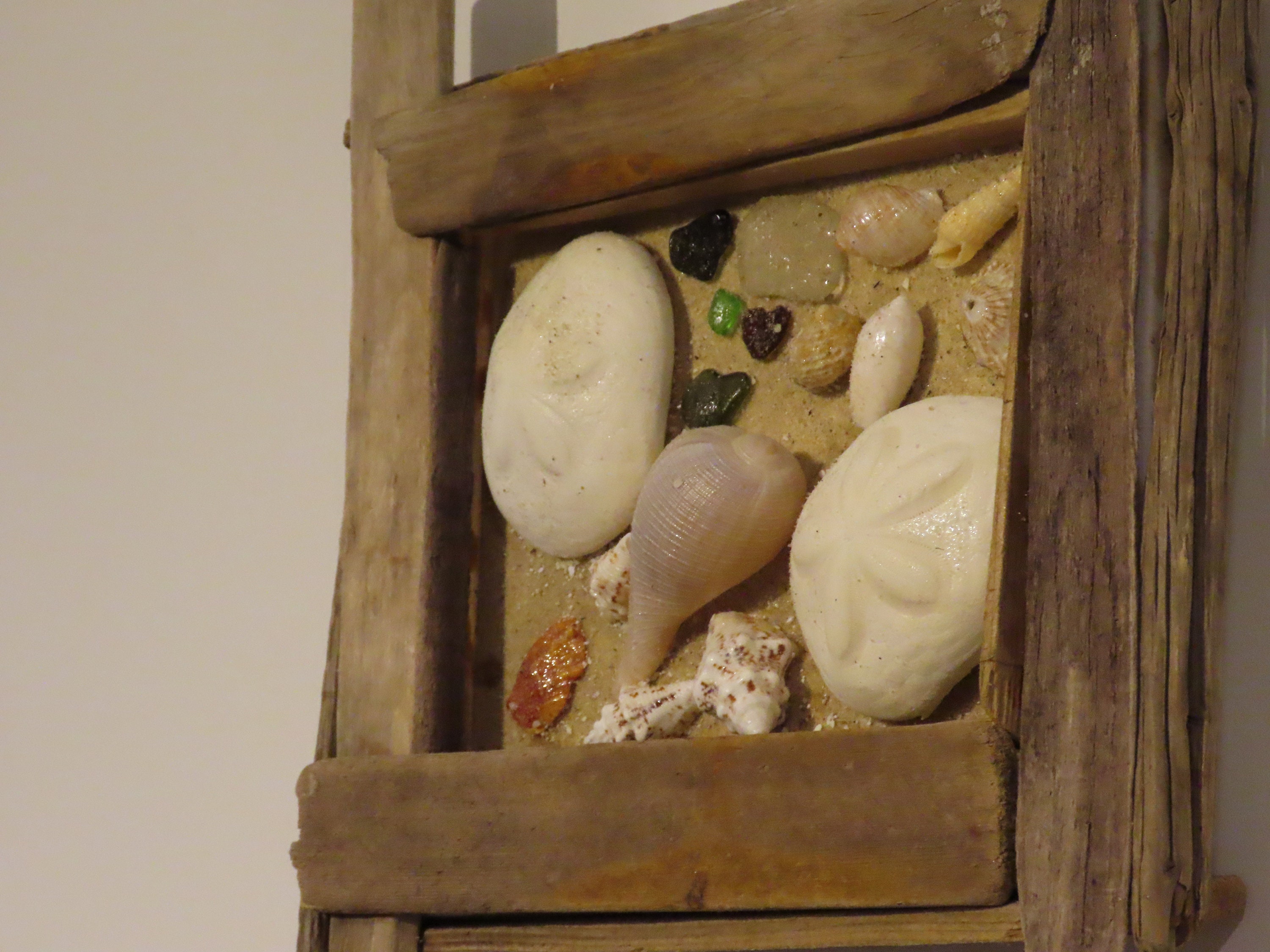 Bahamian Shell and Sea Glass Wall Art in Cape Cod Driftwood - Etsy