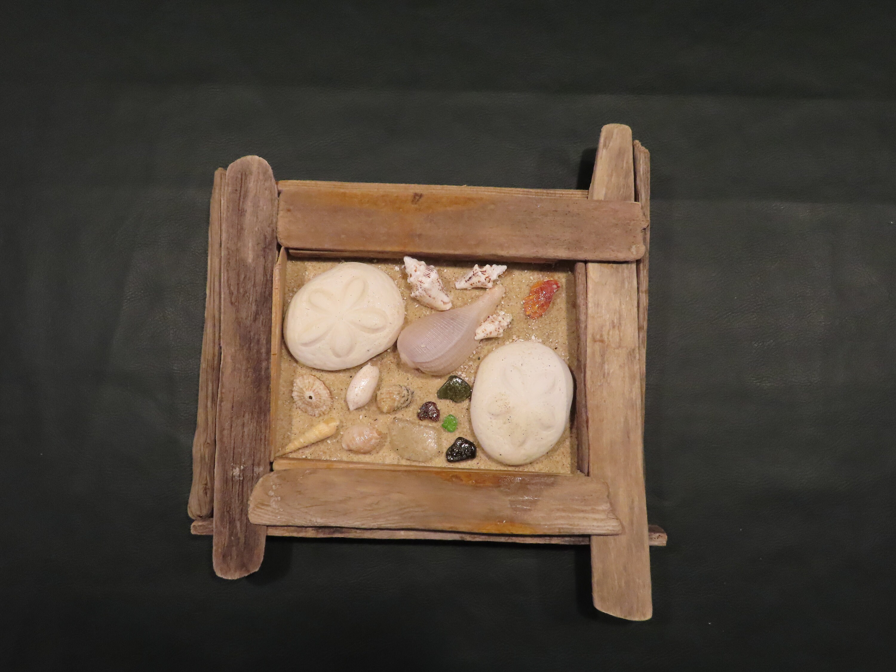 Bahamian Shell and Sea Glass Wall Art in Cape Cod Driftwood - Etsy