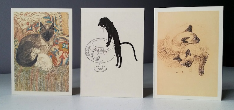 Boxed Note Cards Cats! Cats! Cats! Boxed Note Cards With Theophile ...