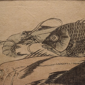 Vintage Ca 1800 Fish Woodblock Swimming Fish Japanese Color Wood Block ...