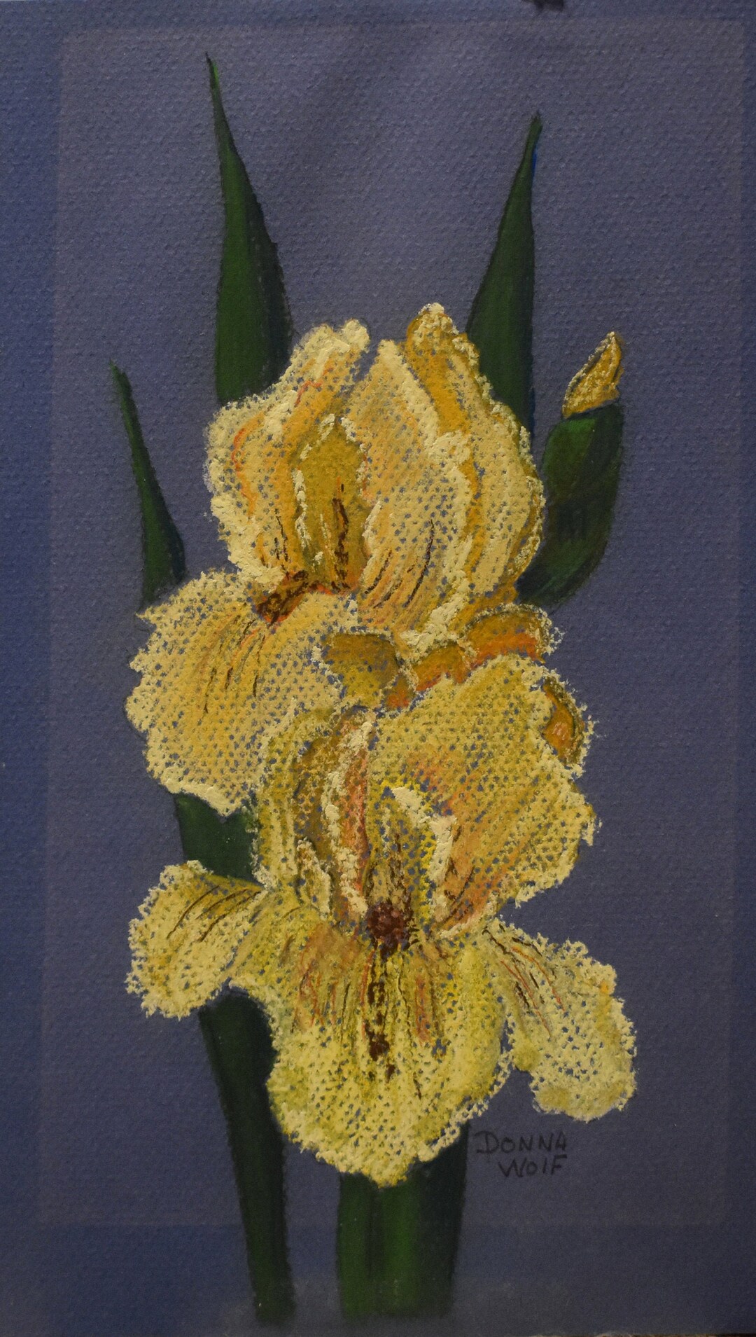 Vintage Three Flower Paintings Yellow Iris Pastel Painting Drawings of ...