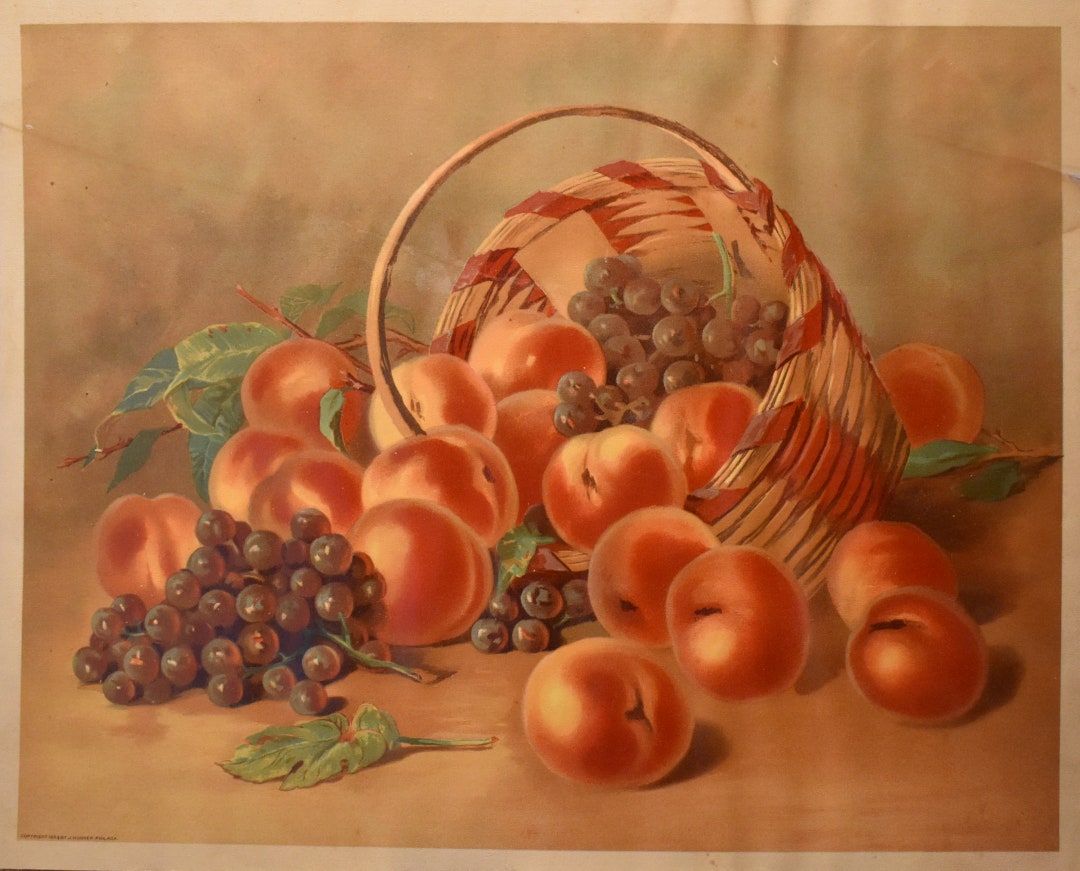Vintage Color Lithograph of Still Life of Peaches Print of Still Life ...