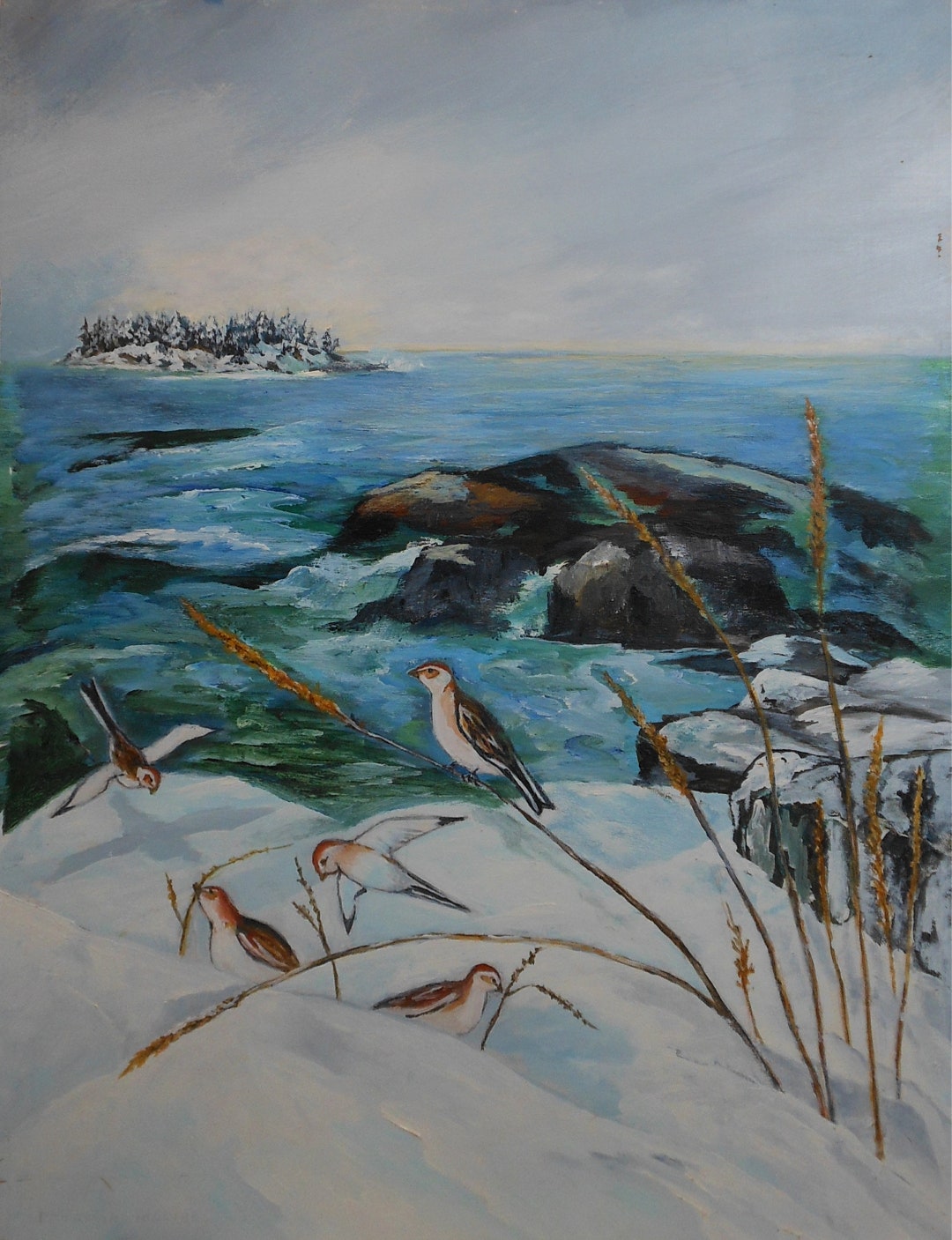 Vintage Corea Maine Oil Painting Birds Rocks Sea Down-east Area Signed ...