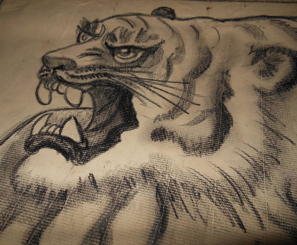 Vintage tiger drawing ca.1900 | Etsy