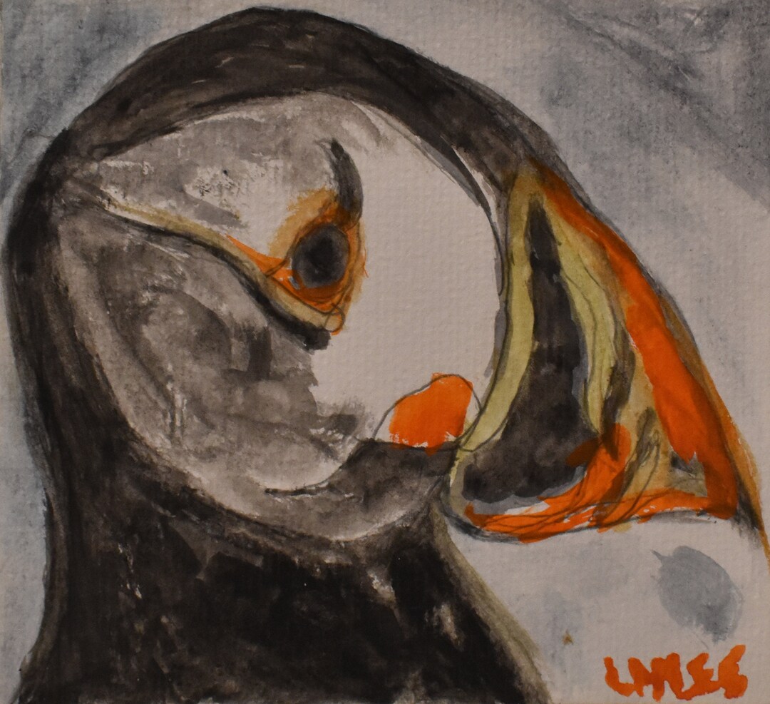 Vintage Puffin Art Watercolors Pencil Drawing - Etsy
