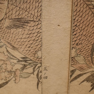Vintage Old Color Wood Block Print of Fish Artist Signed - Etsy