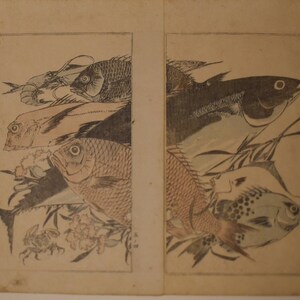 Vintage Japanese Color Wood Block Print of Fish Signed - Etsy