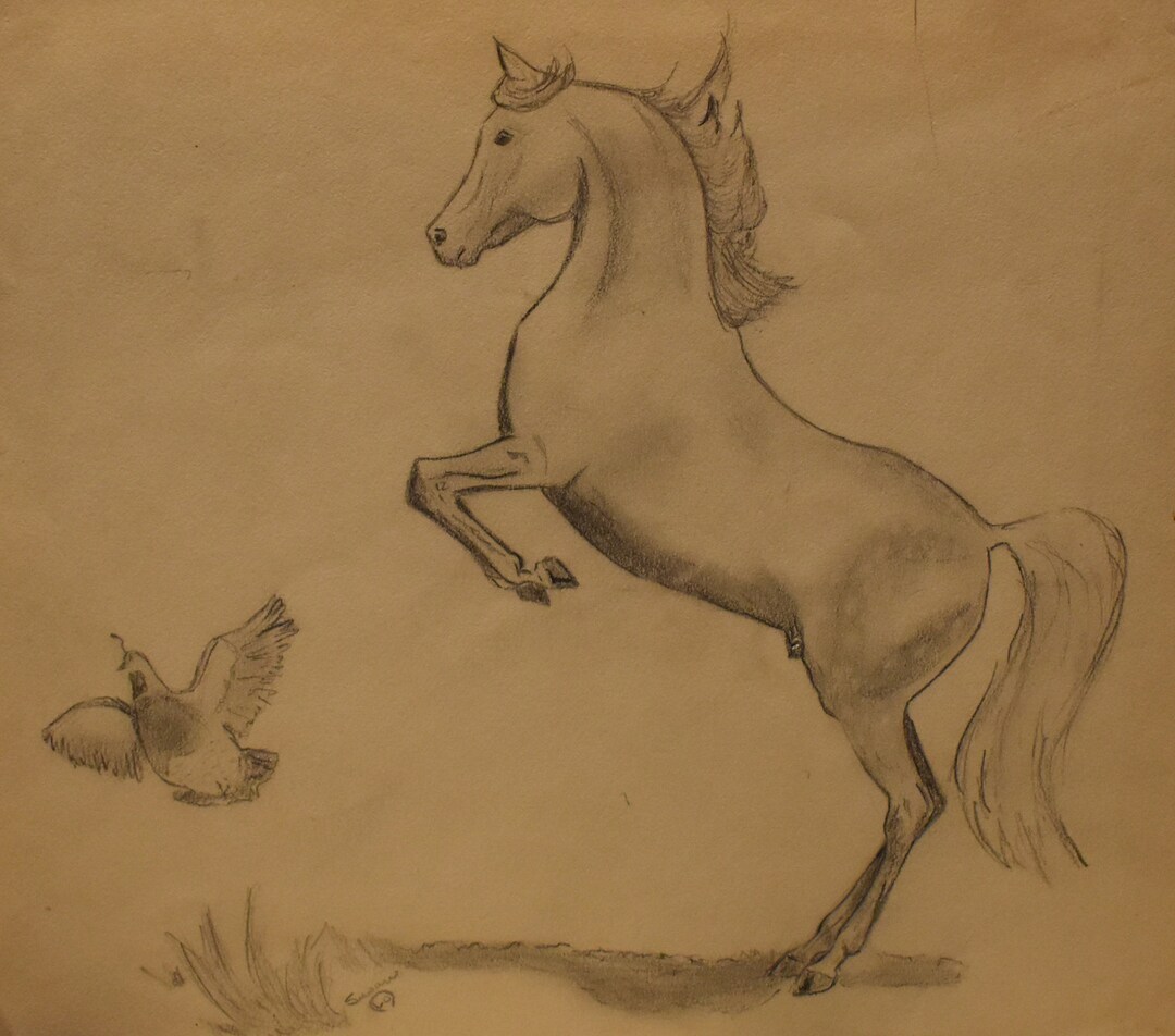 Vintage Unicorn Art Horse Pencil Drawing and Quail Flying Signed - Etsy