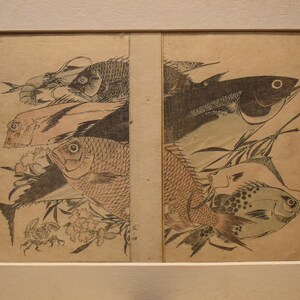 Vintage Japanese Color Wood Block Print of Fish Signed - Etsy