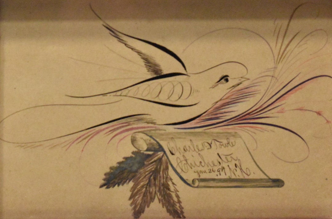 Vintage Folk Art Bird Ink Drawing Ca 1894 Chichester N H Charles D ...