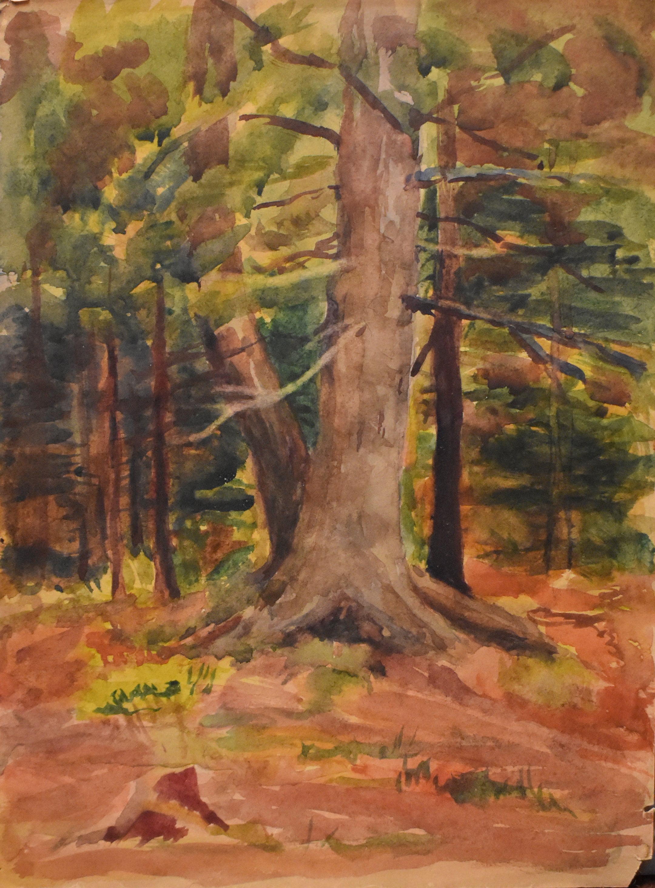 Watercolor Tree Trunk